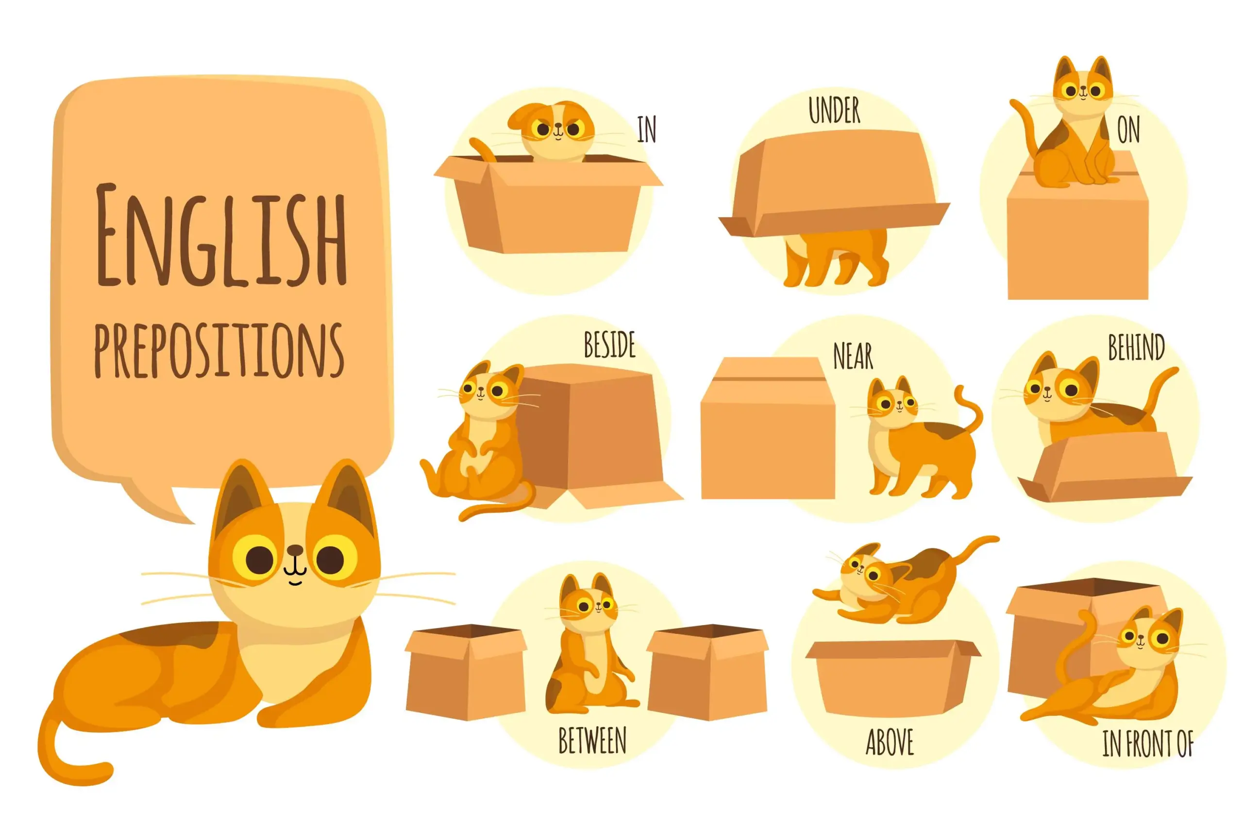 Maîtriser l’usage des prépositions en anglais | SkyMinds.Net